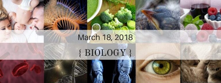 god-reveals-himself-in-creation-biology-living-hope-christian-church-ri ...